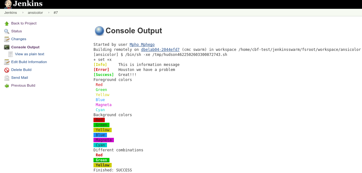 Jenkins Add Color To Console Output